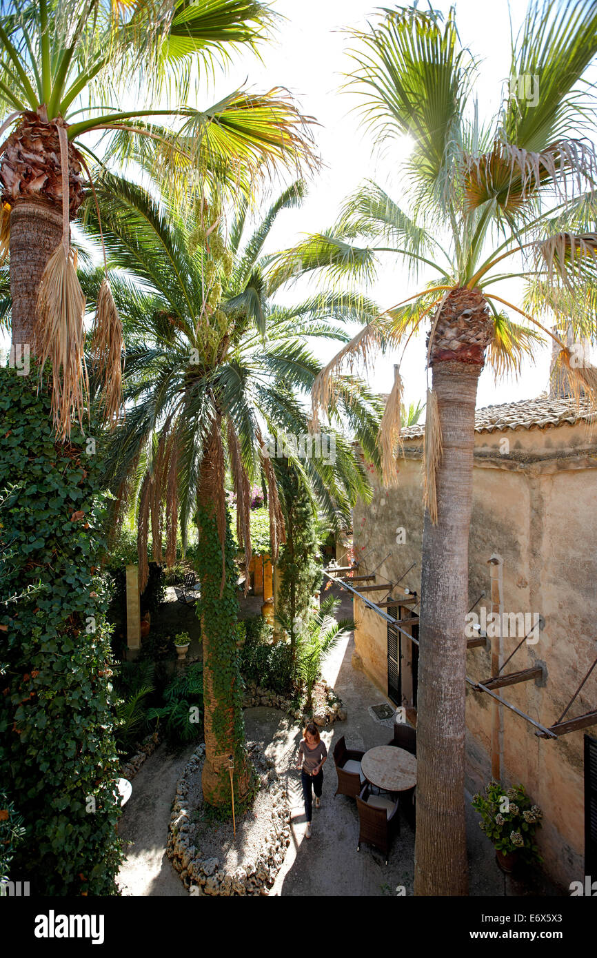 Courtyard with palm tree hi-res stock photography and images - Alamy