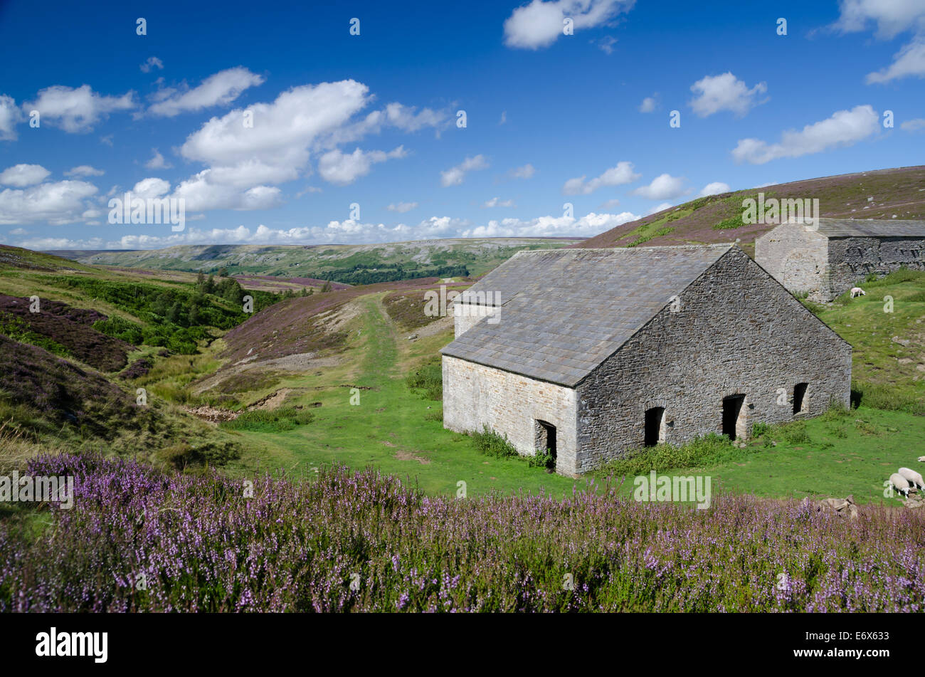 Grinton Smelt Mill in Swaledale Stock Photo - Alamy