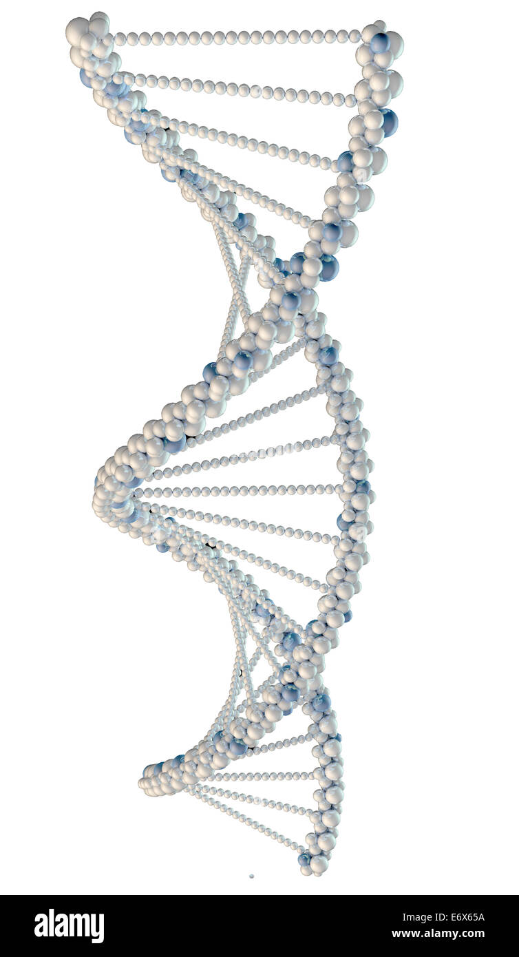 Illustration of white DNA chain Stock Photo - Alamy