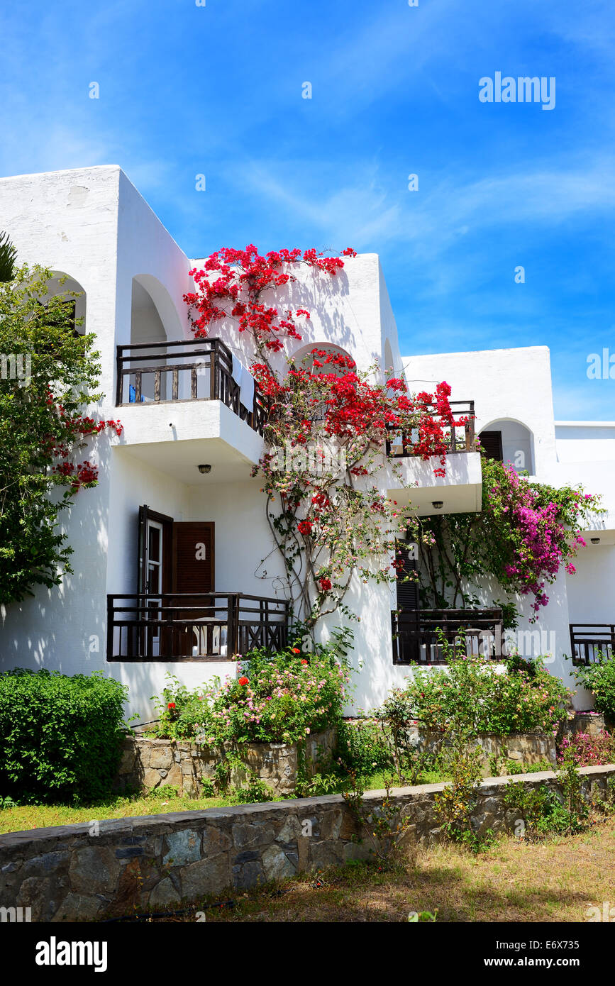 Villas flowers hi-res stock photography and images - Alamy