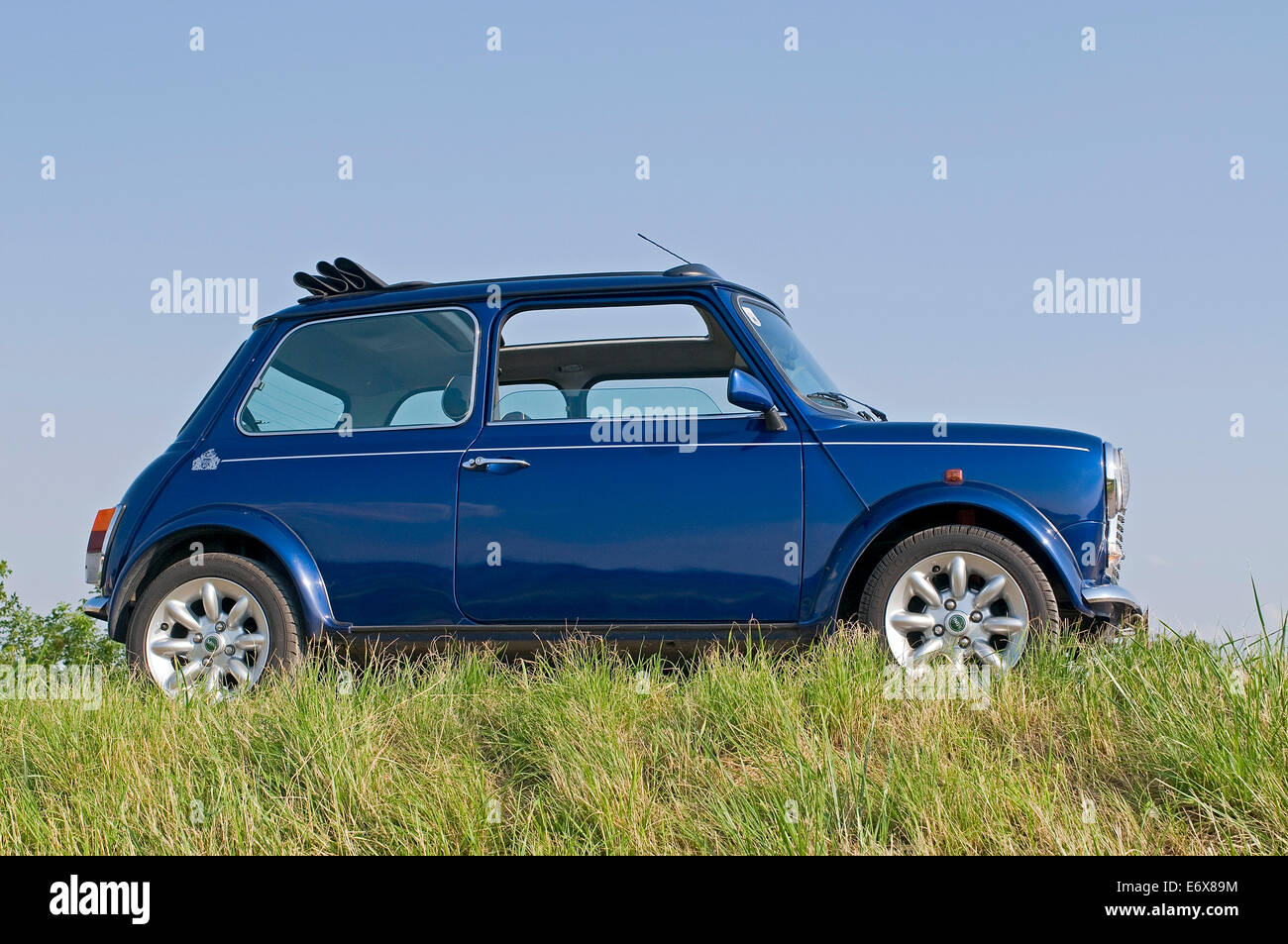 Rover mini hi-res stock photography and images - Alamy