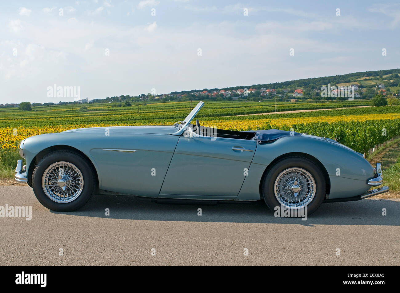 Austin-Healey 3000, built in 1959 Stock Photo - Alamy