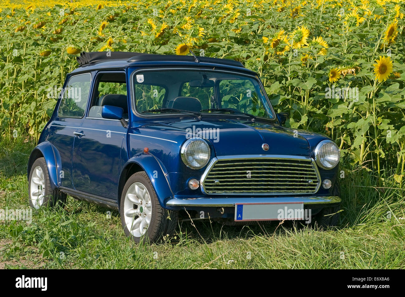 Rover mini hi-res stock photography and images - Alamy