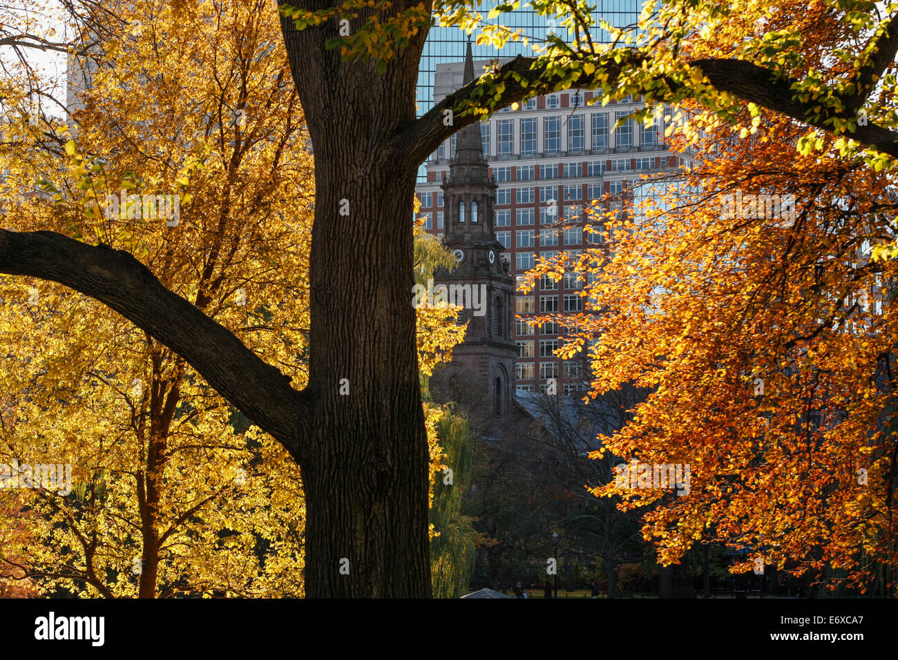 Boston Public Garden in the fall, Boston, Massachusetts, USA Stock ...
