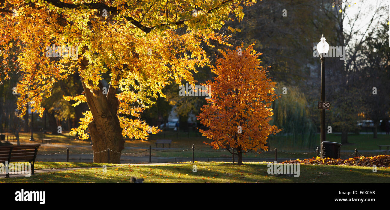 Boston Public Garden in the fall, Boston, Massachusetts, USA Stock ...