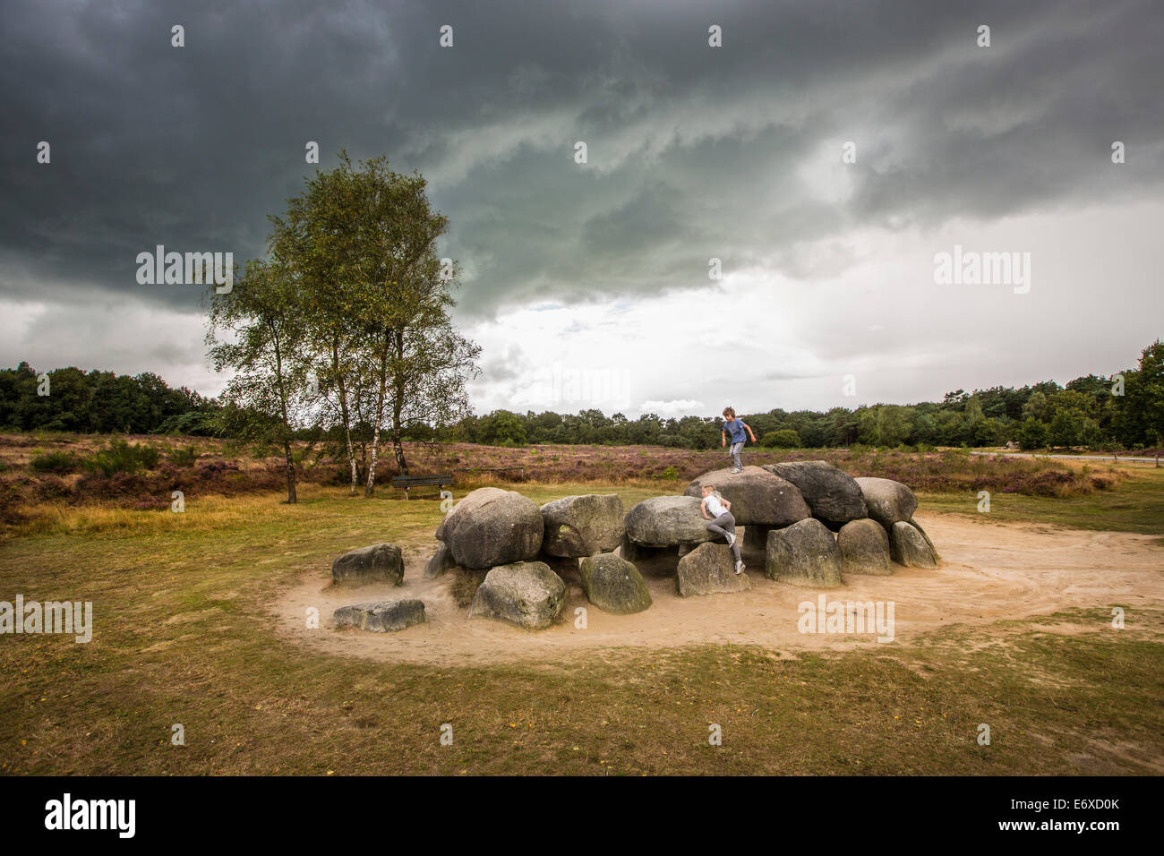 Netherlands, Havelte, Heathland Holtingerveld Heide.Megalithic tomb ...