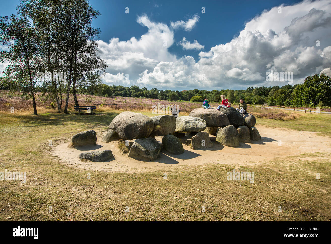 Netherlands, Havelte, Heathland Holtingerveld Heide. Megalithic tomb ...
