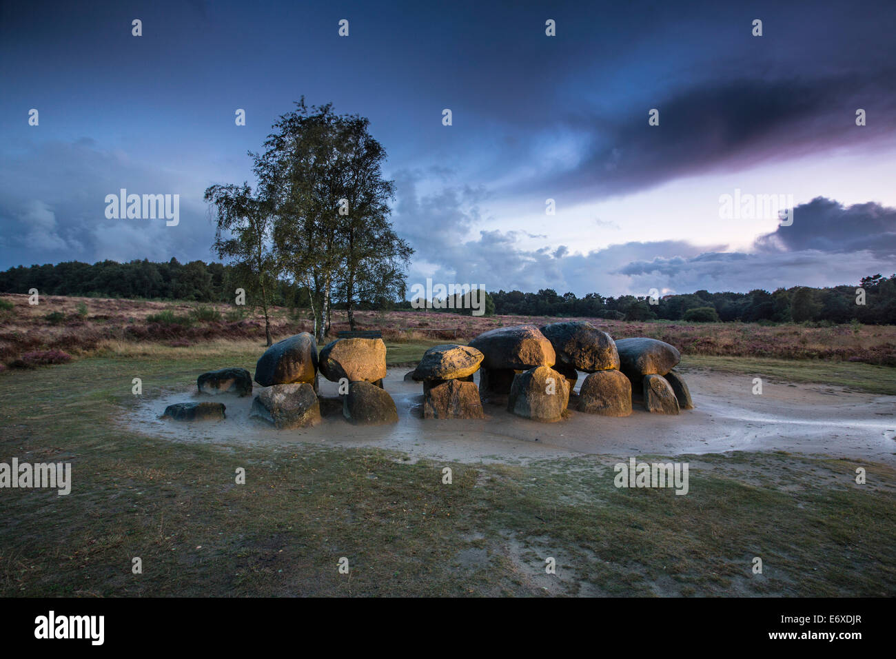 Netherlands, Havelte, Heathland Holtingerveld Heide. Megalithic tomb ...