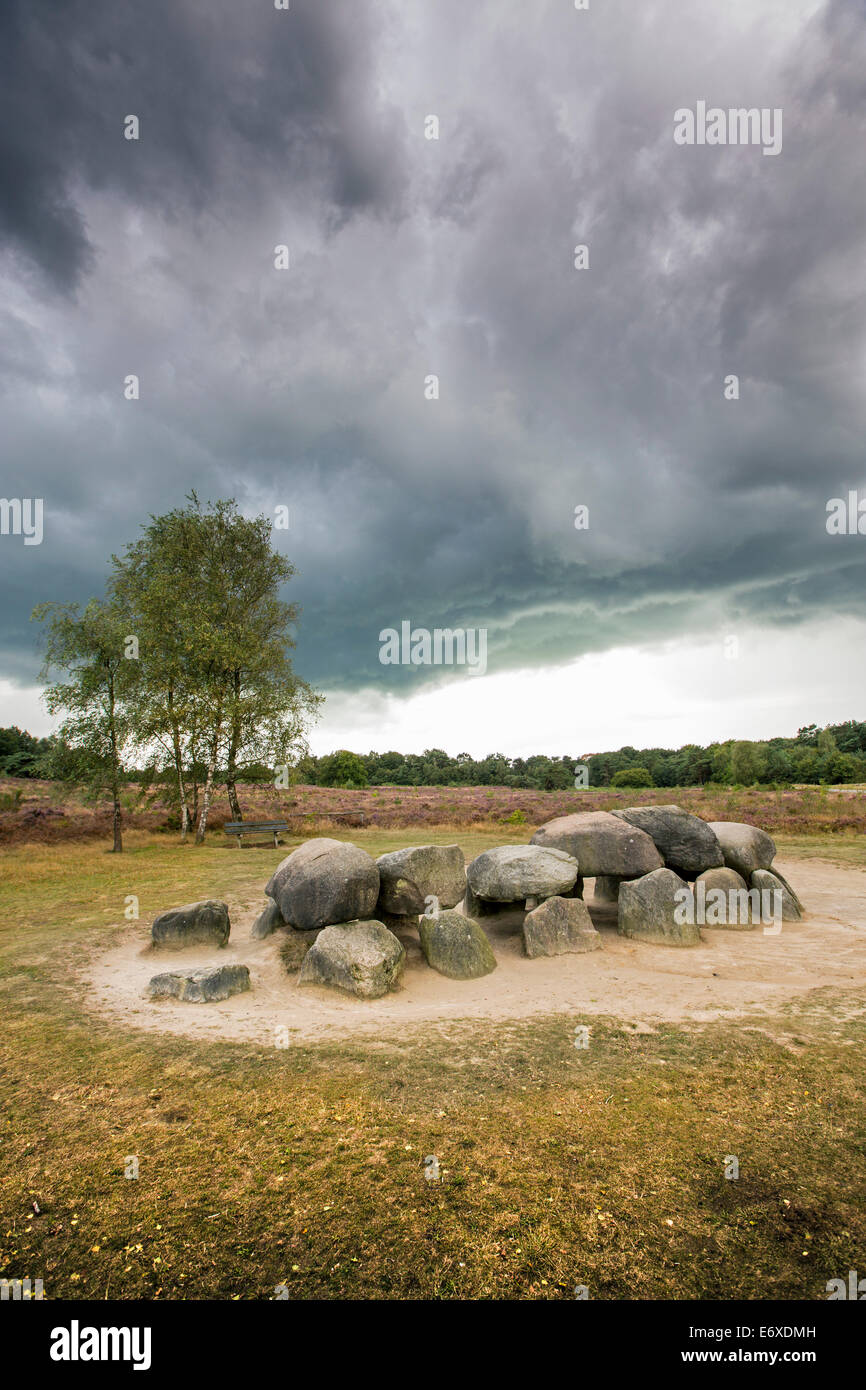 Netherlands, Havelte, Heathland called Holtingerveld Heide. Megalithic ...