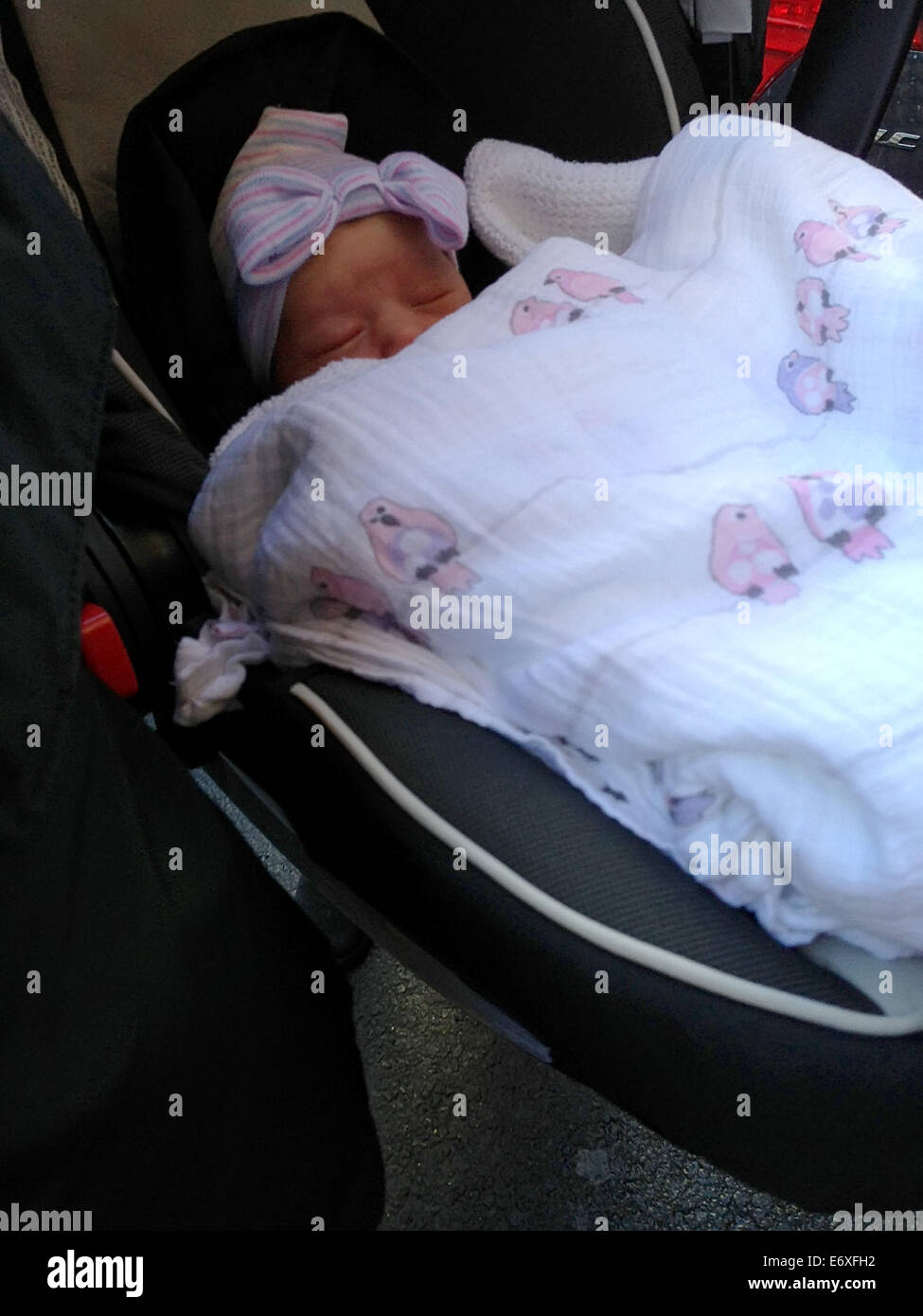 Polly McCourt returns to her Upper East Side apartment with husband ...