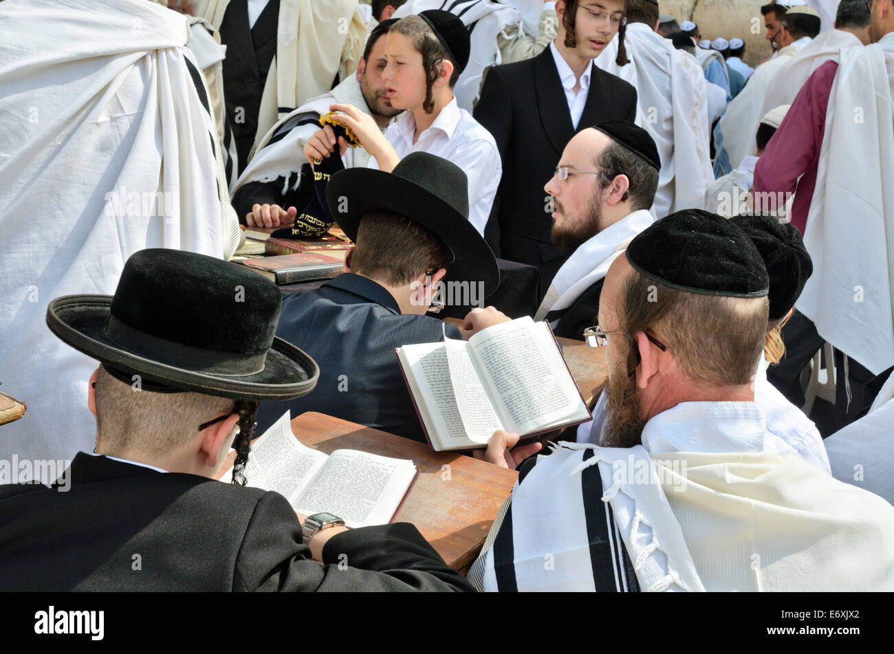 Jews reading Torah and praying at the Wailing Wall, Jerusalem, Israel ...