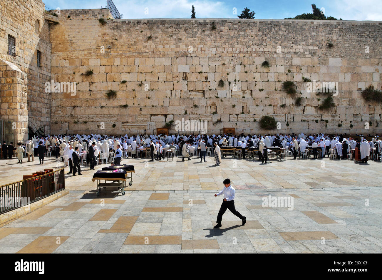 Jews reading Torah and praying at the Wailing Wall, Jerusalem, Israel ...