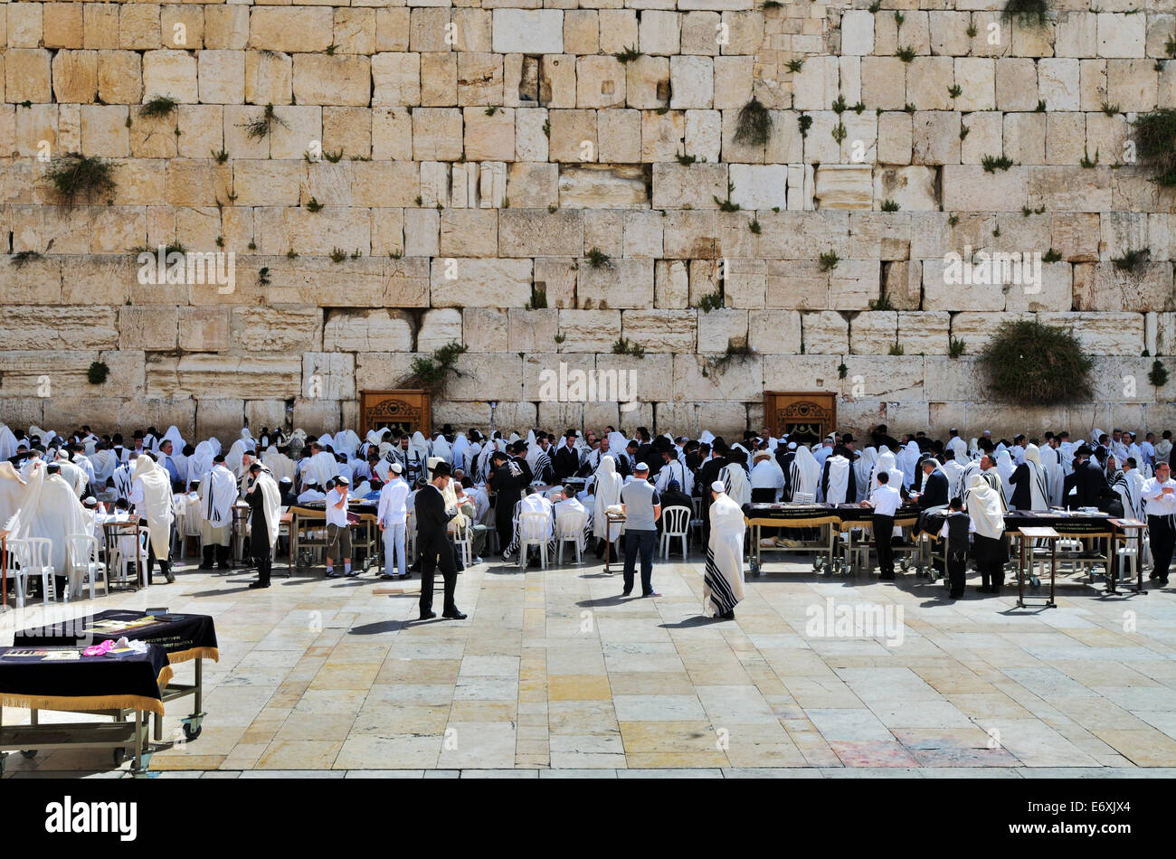 Jews reading Torah and praying at the Wailing Wall, Jerusalem, Israel ...