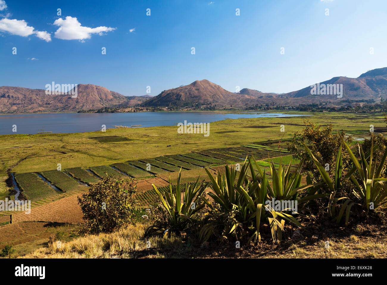 Lake Itasy, highlands west of Antananarivo, Madagascar, Africa Stock ...