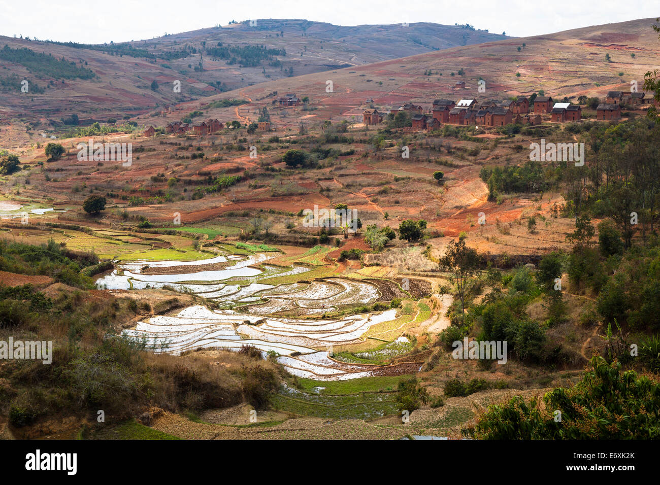 Rice terraces madagascar hi-res stock photography and images - Alamy