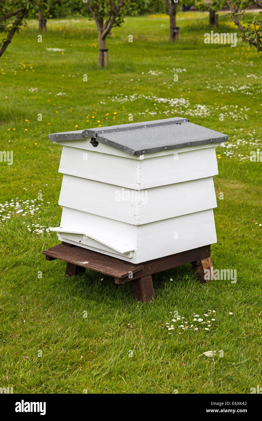 A traditional wooden bee hive in the kitchen garden at Tatton Hall ...