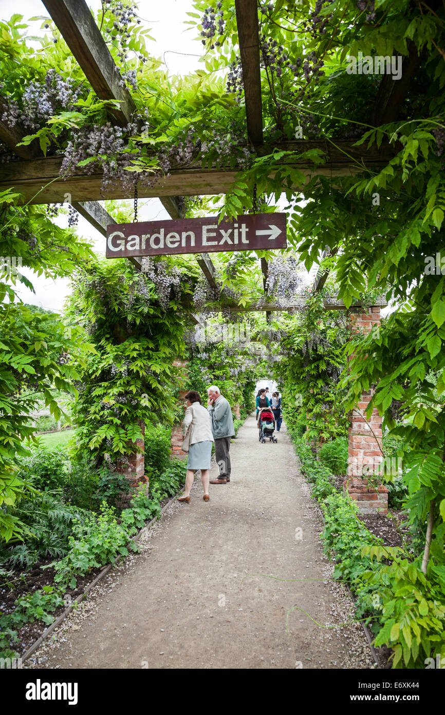 A Wisteria pergola in the garden at Tatton Hall Tatton Park gardens ...