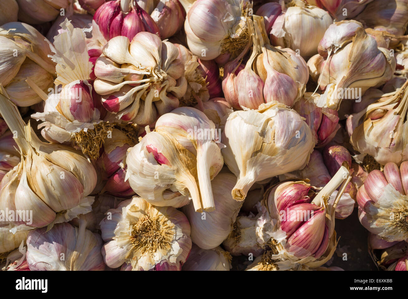 Full frame take of garlic on display on a street market stall Stock ...