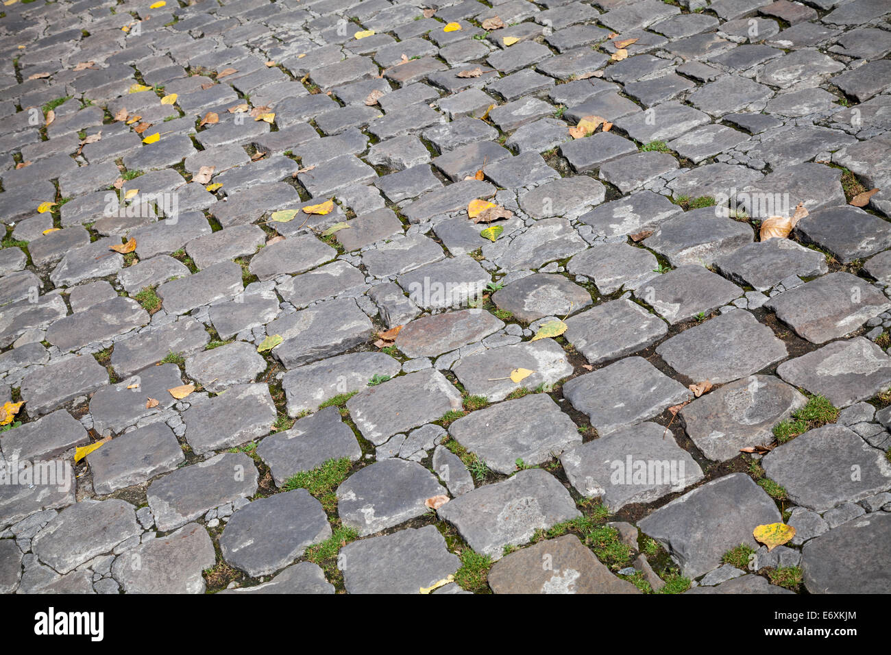 Stone leaves hi-res stock photography and images - Alamy