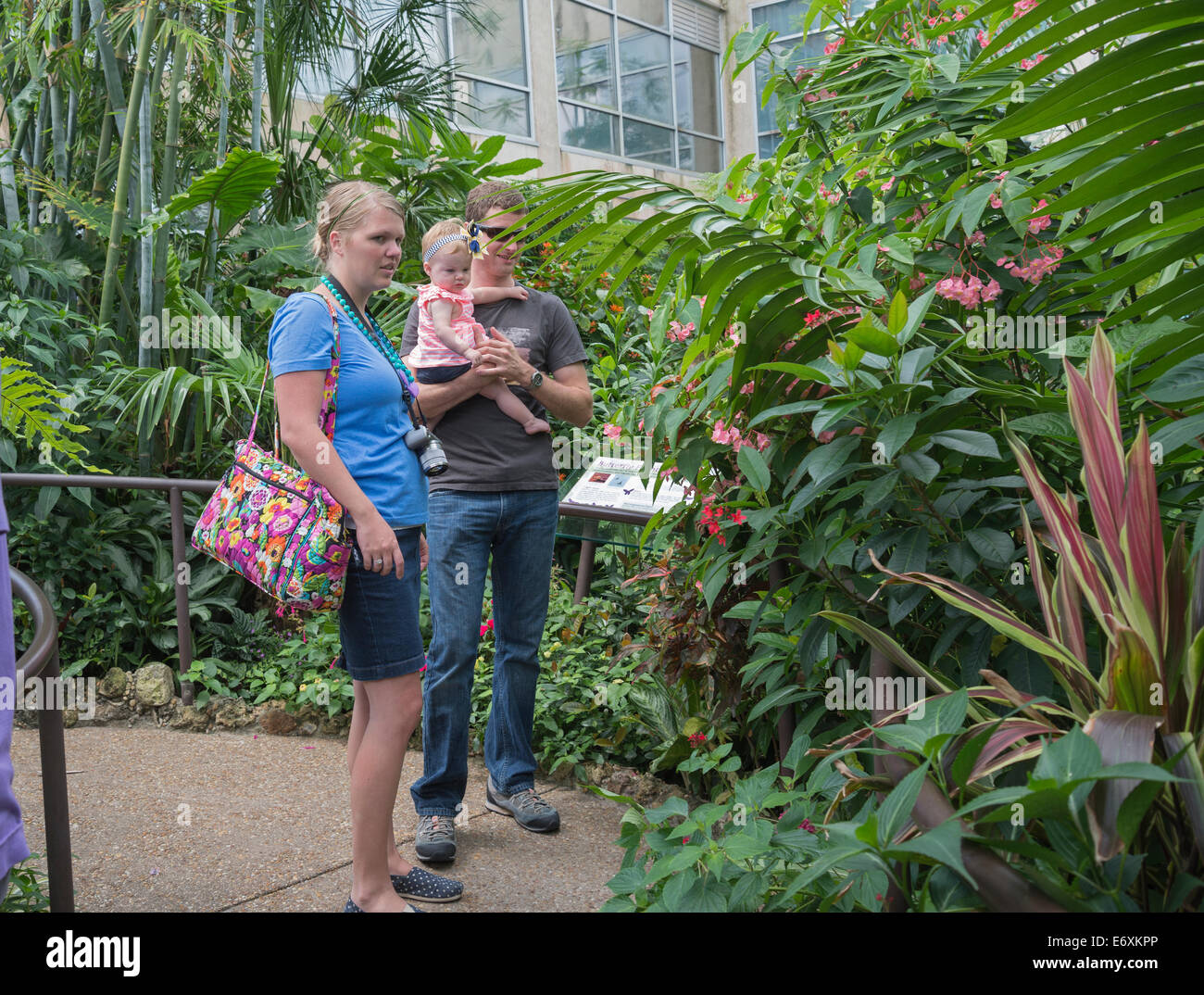The Butterfly Rainforest features hundreds of butterflies from around ...