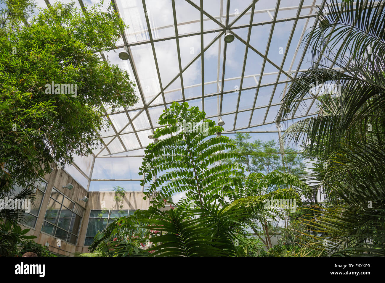 The Butterfly Rainforest features hundreds of butterflies from around ...