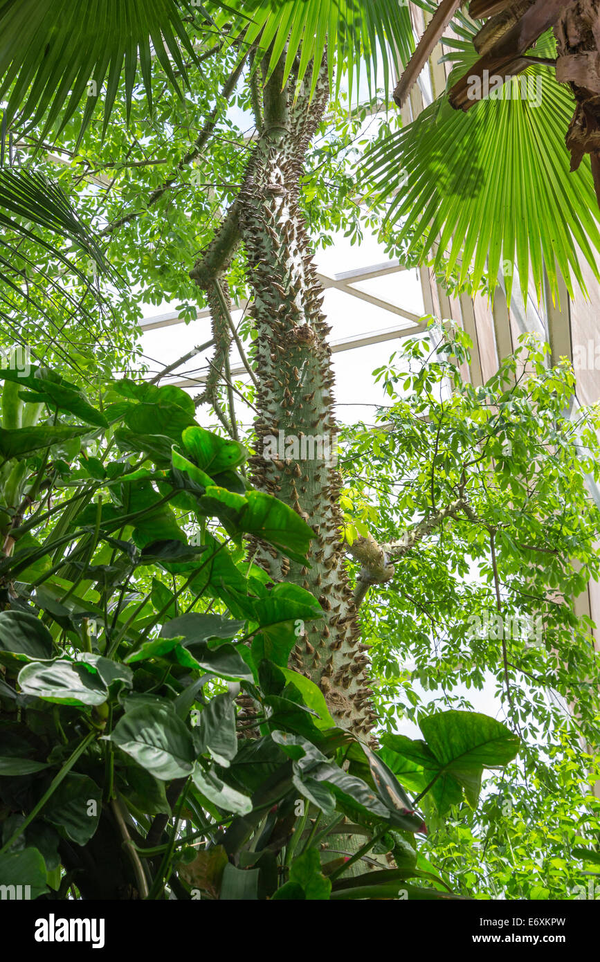 The Butterfly Rainforest features hundreds of butterflies from around ...