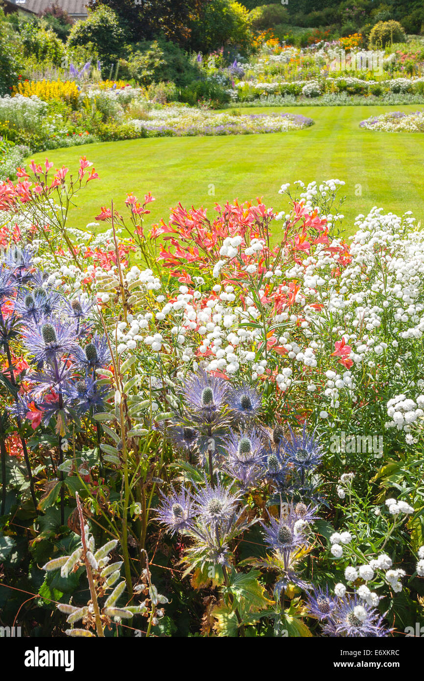 Beautiful summer flowers hi-res stock photography and images - Alamy
