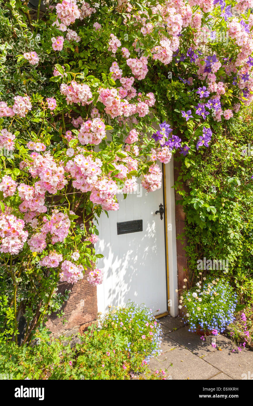 Stone cottage with white door and climbing roses Stock Photo - Alamy