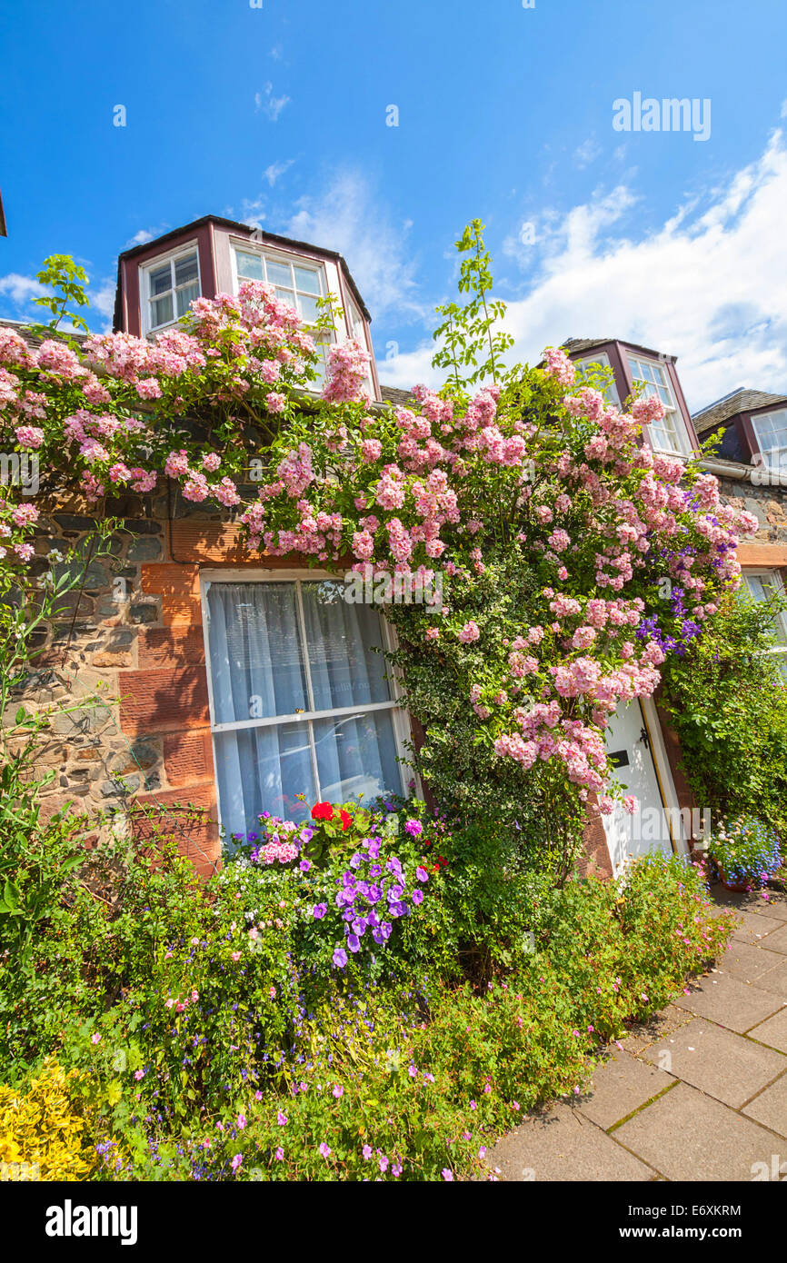 Stone cottage with window and climbing roses Stock Photo - Alamy