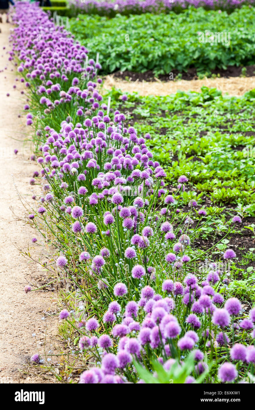 Tatton hall gardens hi-res stock photography and images - Alamy