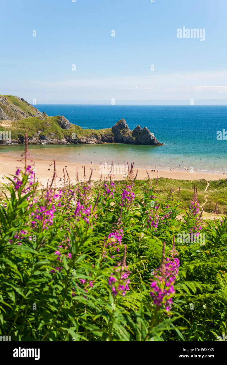 Three Cliffs Bay, Gower, Wales, UK Stock Photo - Alamy