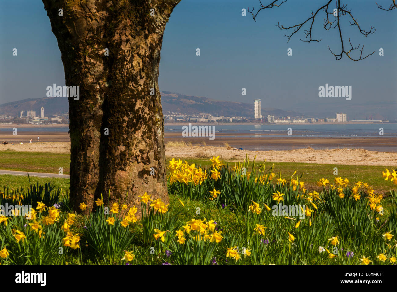 Mumbles, Gower, Swansea, Wales, UK Stock Photo - Alamy