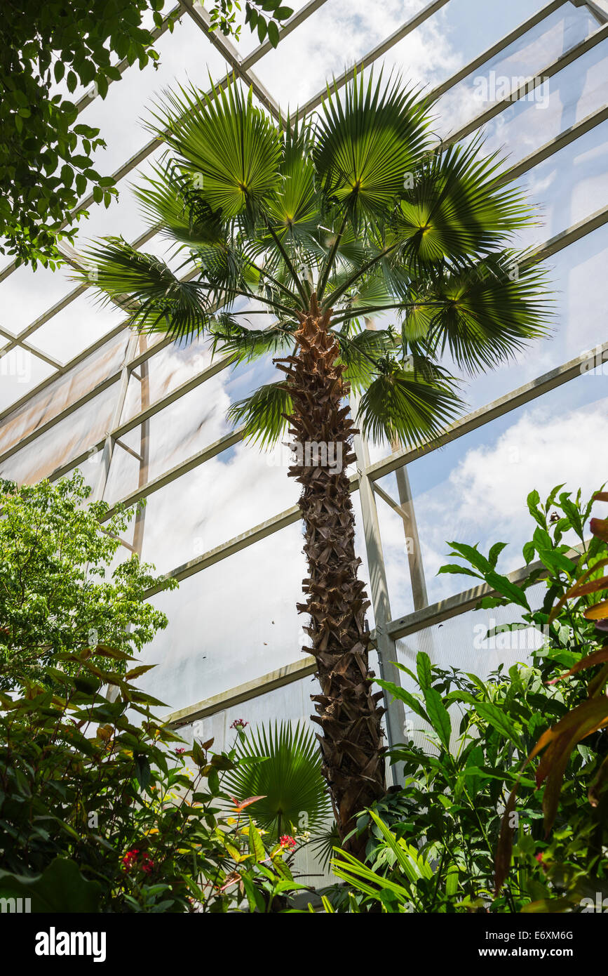 The Butterfly Rainforest features hundreds of butterflies from around ...