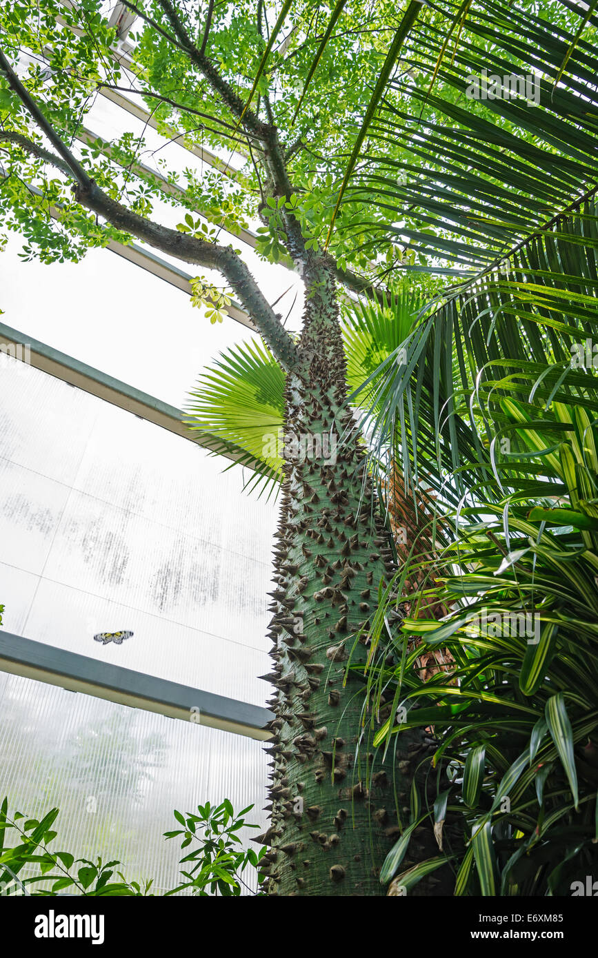 The Butterfly Rainforest features hundreds of butterflies from around ...