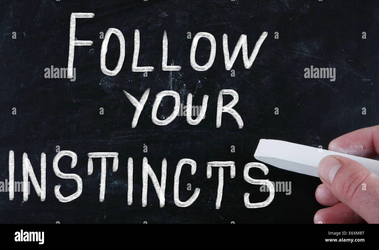 Instincts hi-res stock photography and images - Alamy