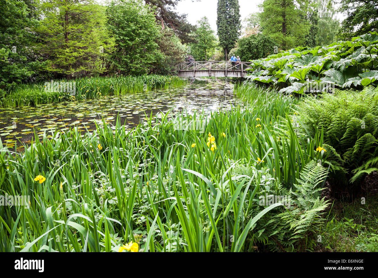 Formal gardens, tatton park hi-res stock photography and images - Alamy