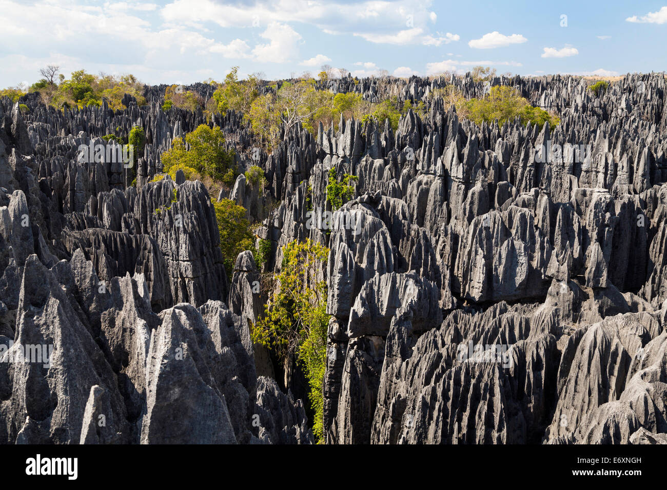 Tsingy-de-Bemaraha National Park, Mahajanga, Madagascar, Africa Stock ...