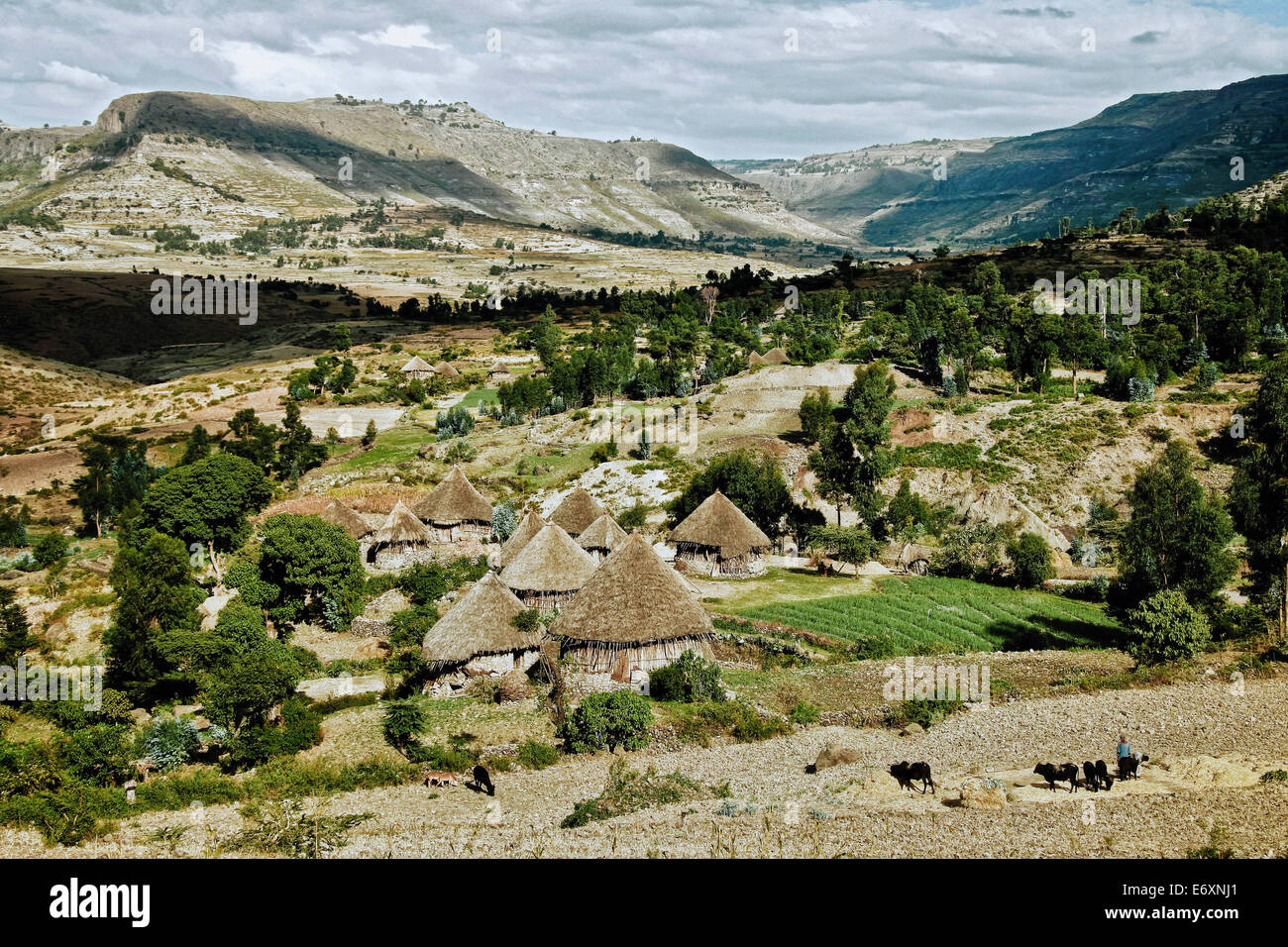 Landscape in the Ethiopian Highlands, Ethiopia, Africa Stock Photo - Alamy