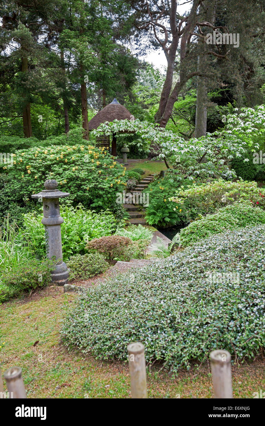 The Japanese Garden at Tatton Hall Tatton Park gardens Tatton Cheshire ...