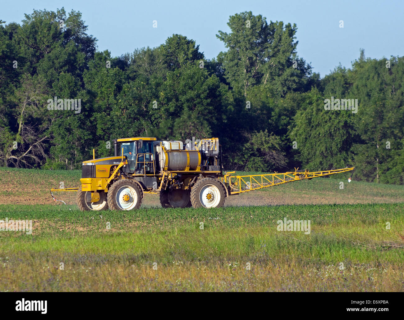 Tractor spraying field of sprouting corn plants Stock Photo - Alamy