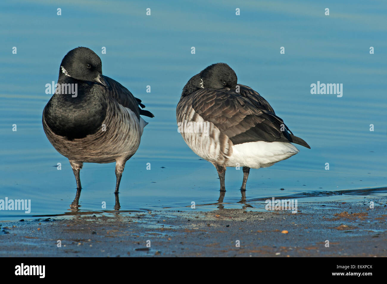 Atlantic edge hi-res stock photography and images - Alamy