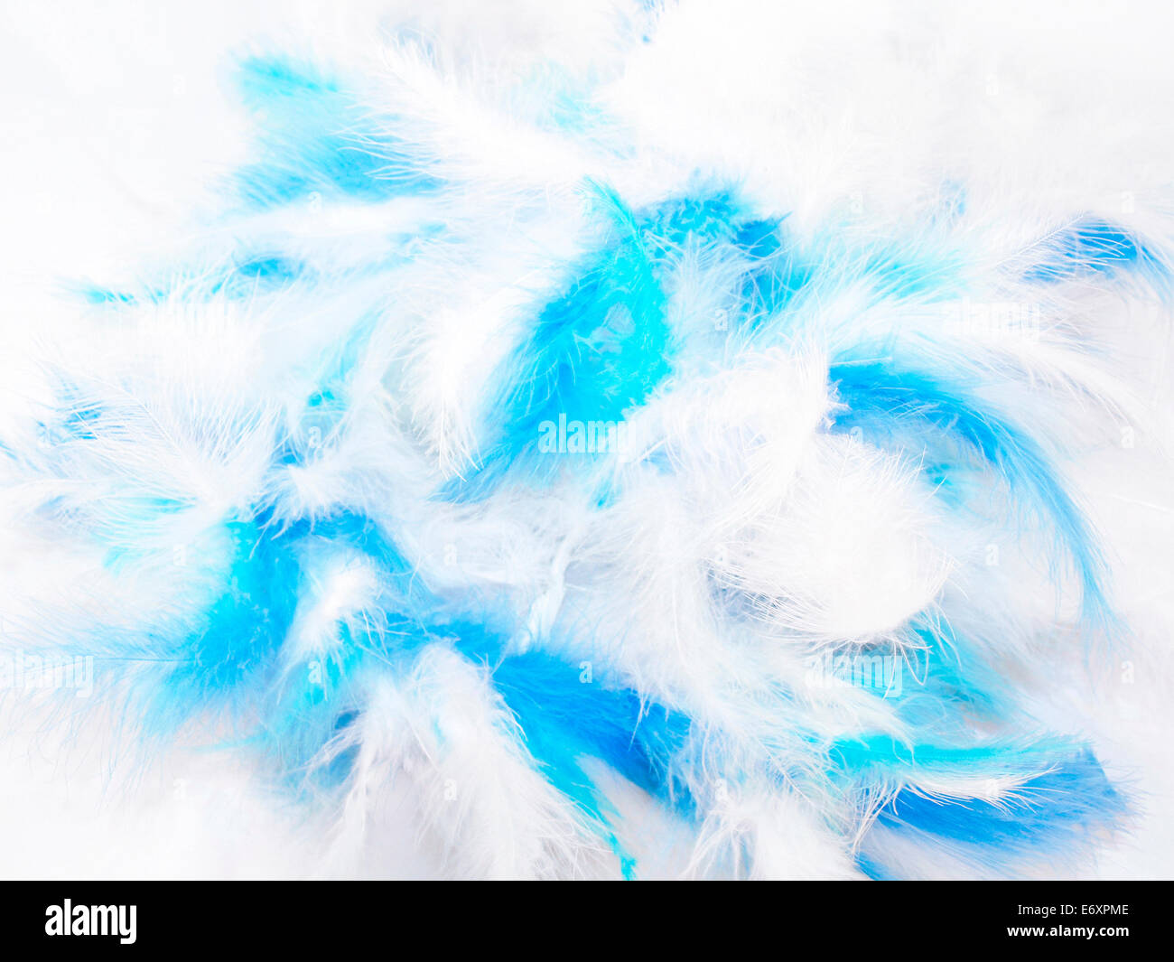 colored feathers on white Stock Photo - Alamy