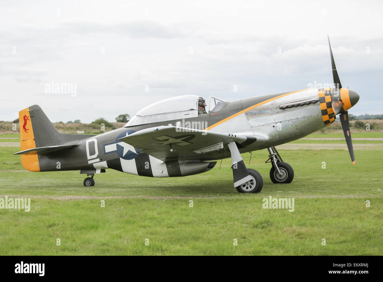 Tf mustang hi-res stock photography and images - Alamy