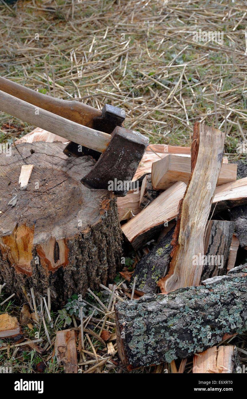 Two axes in a chopping block with split logs lying around on the ground ...
