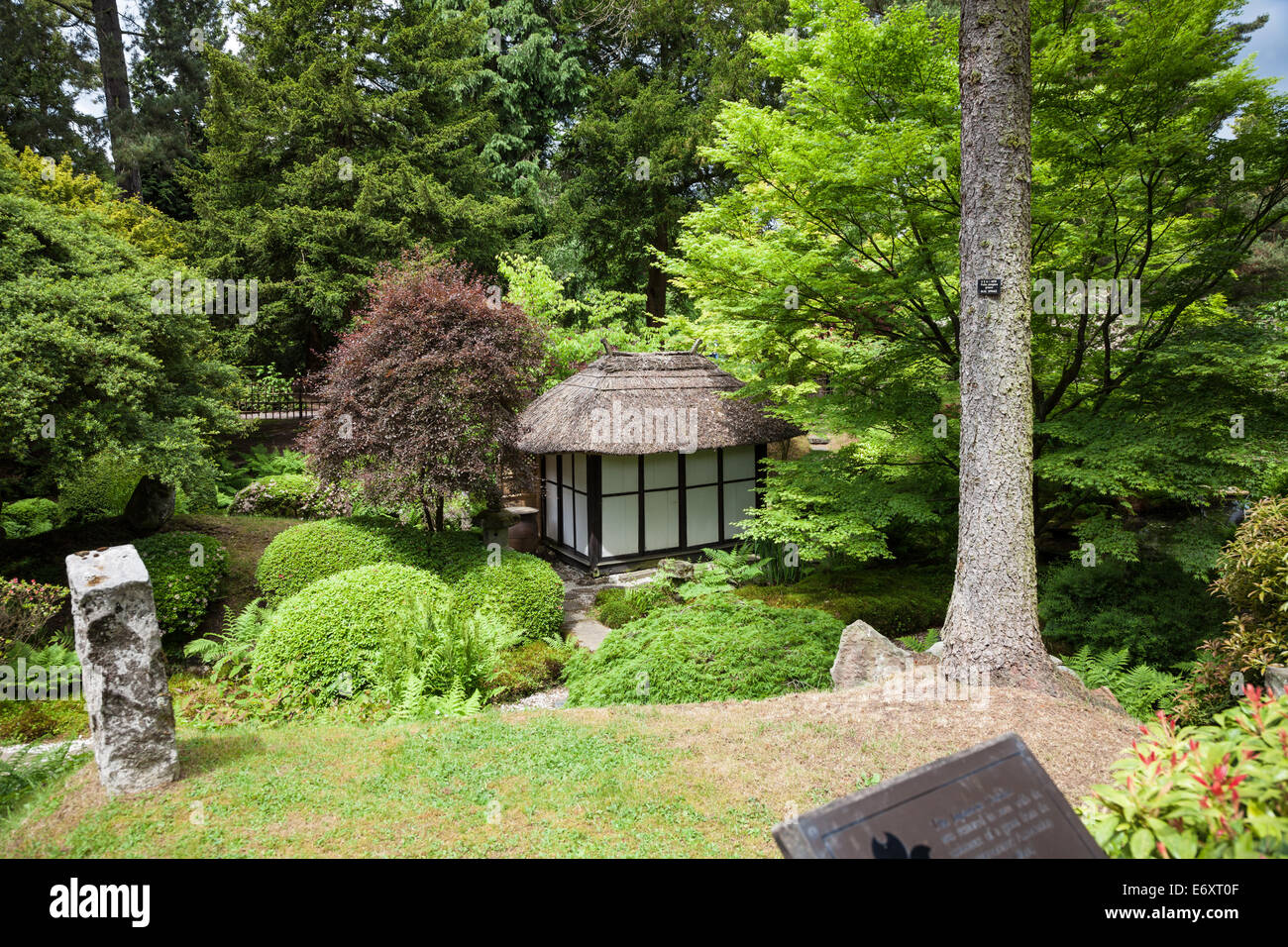 Tatton park hi-res stock photography and images - Alamy