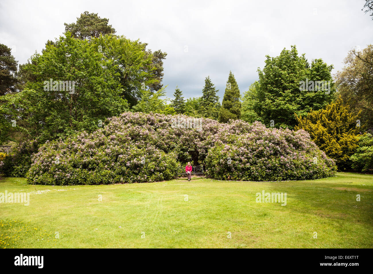 Tatton hall gardens hi-res stock photography and images - Alamy