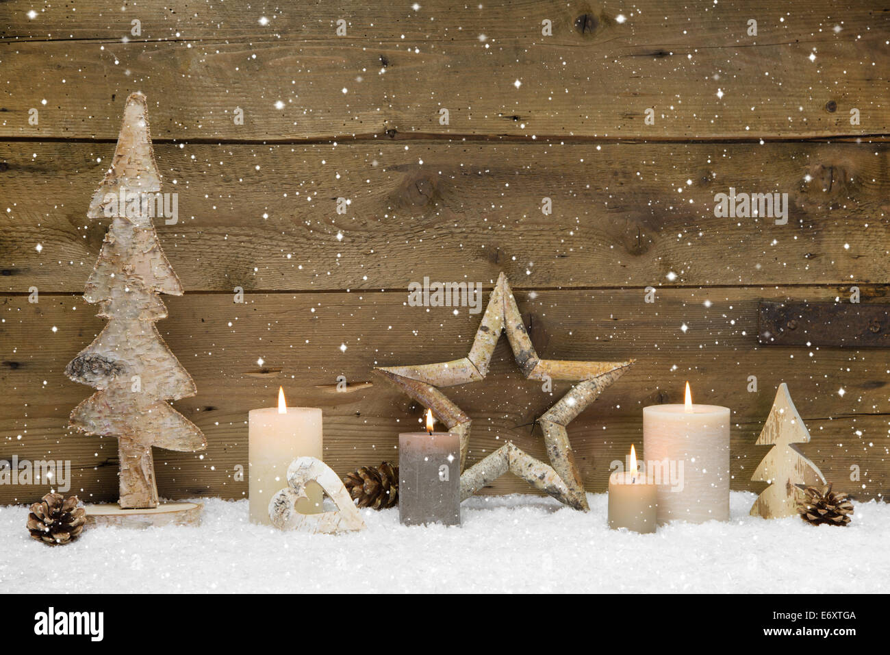 Rustic Country Background Trees