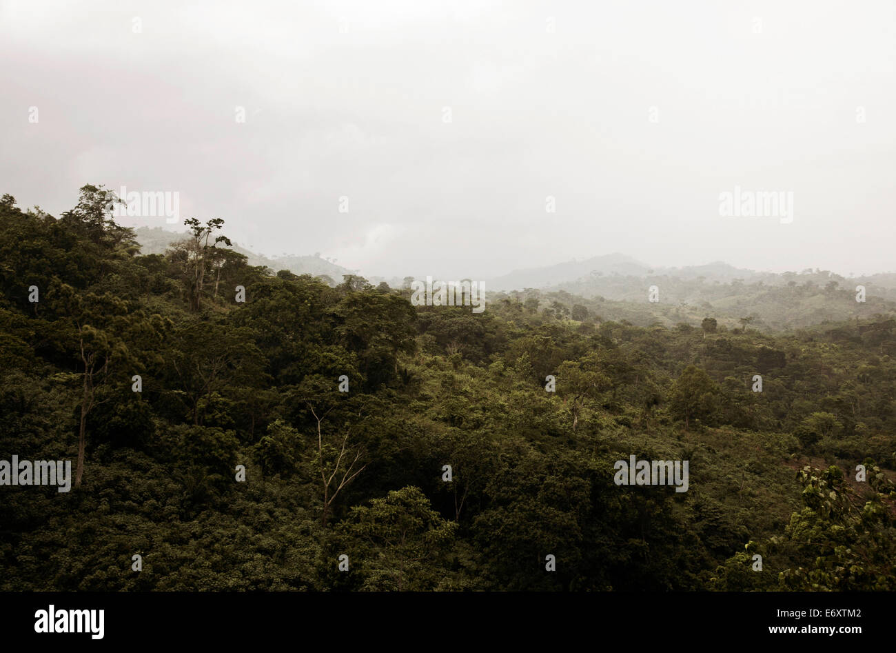 Benin africa forest hi-res stock photography and images - Alamy