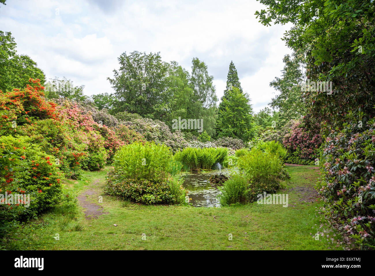 Formal gardens, tatton park hi-res stock photography and images - Alamy