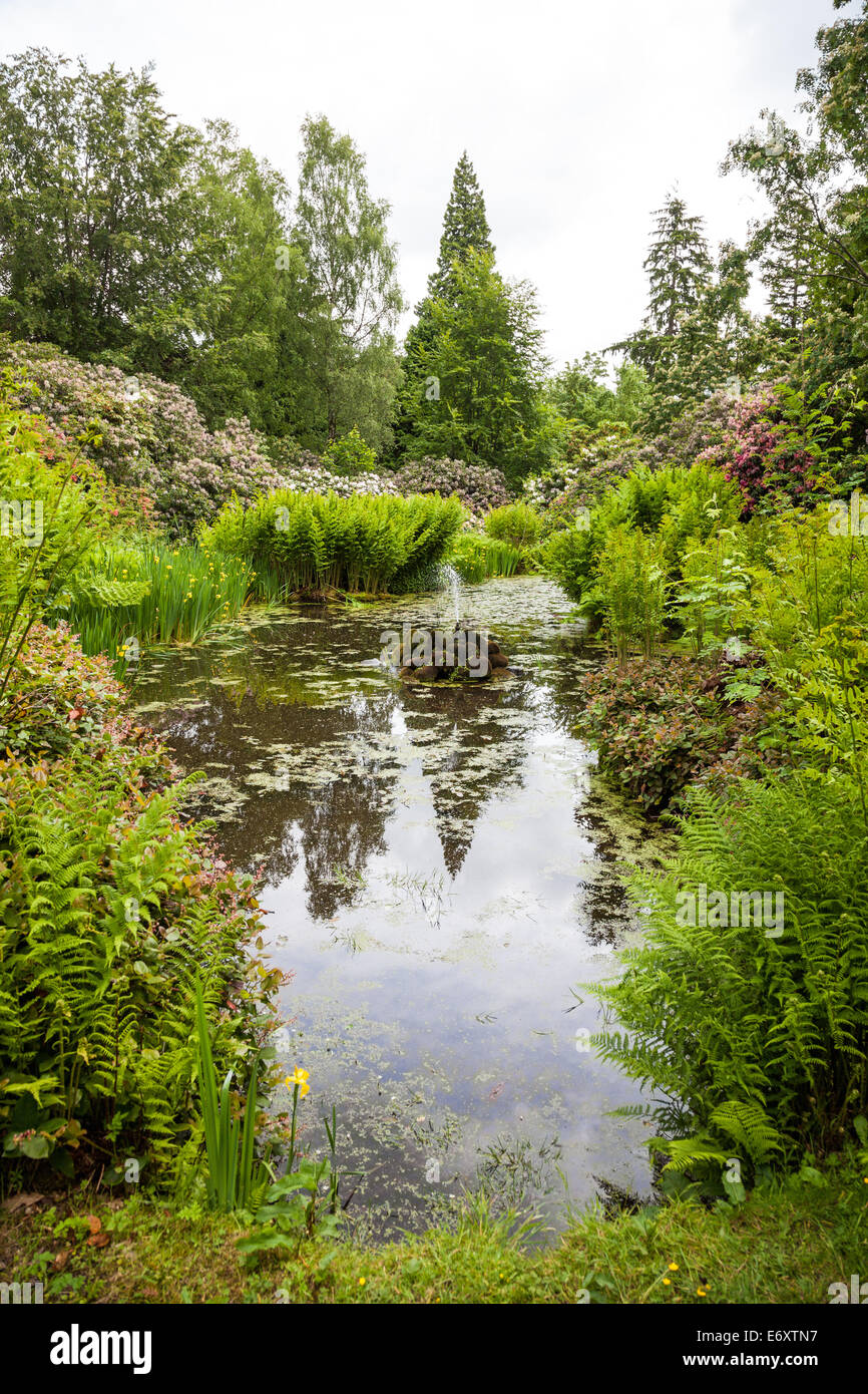 Tatton park gardens hi-res stock photography and images - Alamy